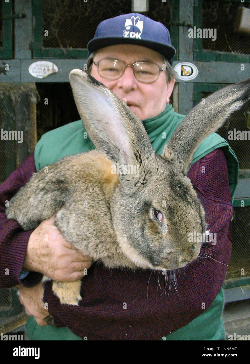 EBERSWALDE, Germany - Karl Szmolinsky, a German breeder of giant ...