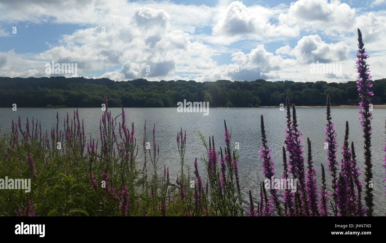 Lake Ruislip Lido Stock Photo - Alamy