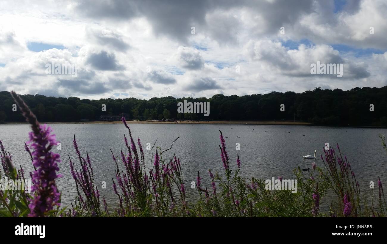 Lake Ruislip Lido Stock Photo - Alamy