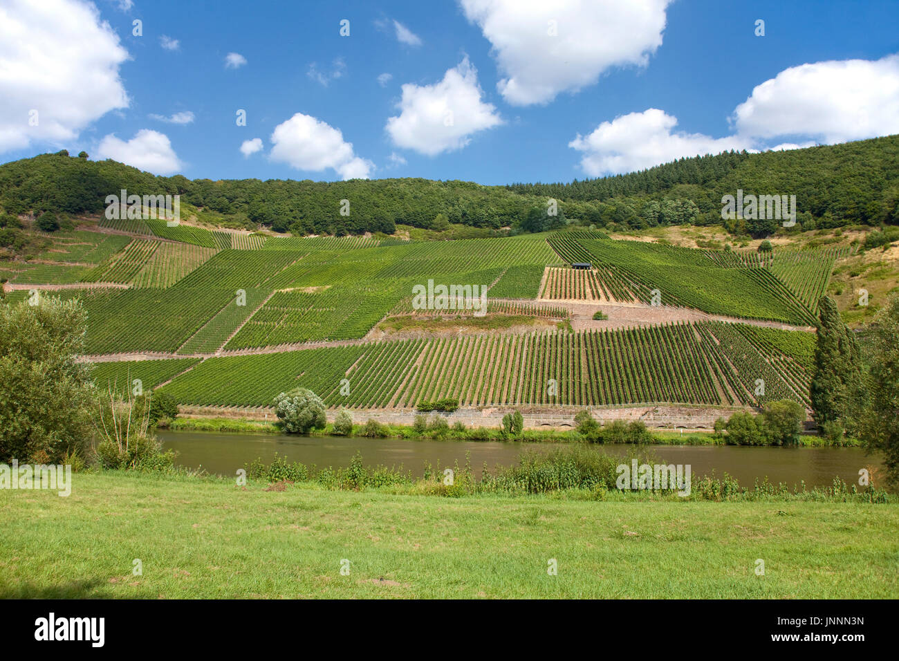 Trittenheim moselle valley rhineland hi-res stock photography and ...