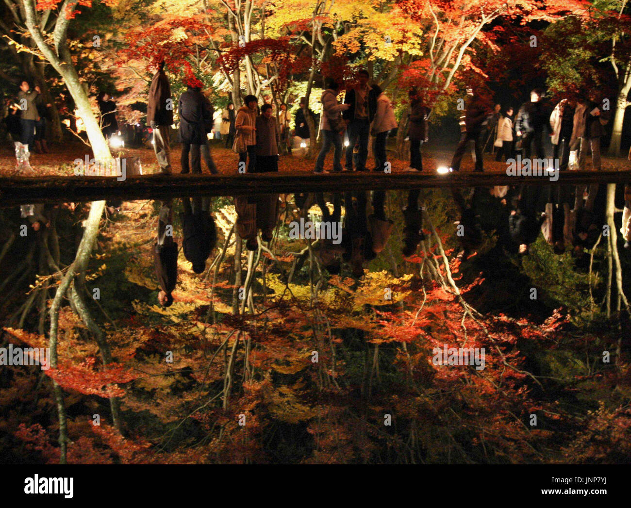 TOKI, Japan - Trees in full autumn colors at Sogi Park in Gifu ...