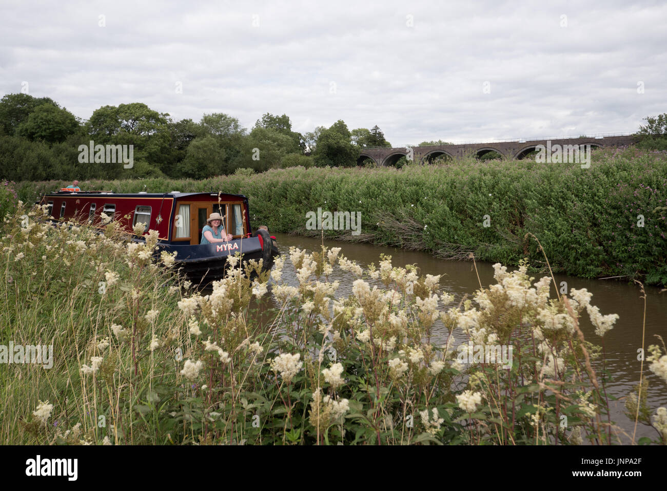 Somerton viaduct hi-res stock photography and images - Alamy