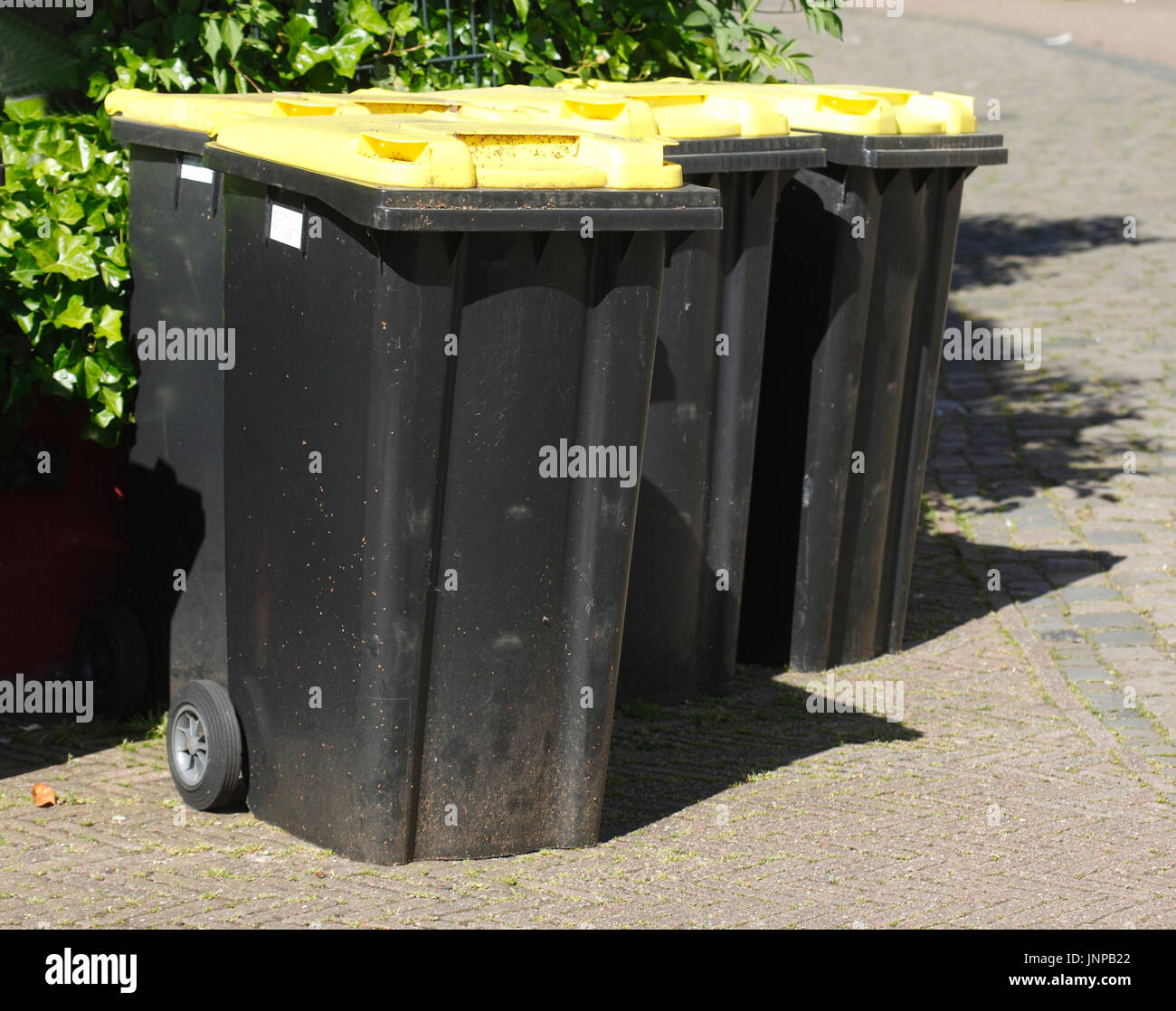 Yellow Recycling Bins for plastic Waste Stock Photo - Alamy