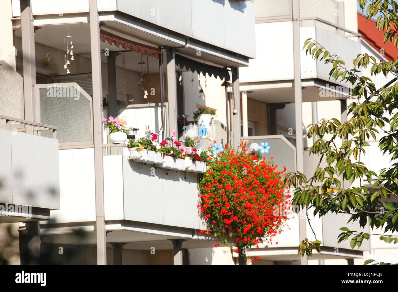 balcony with red flowers on a dweling house Stock Photo - Alamy