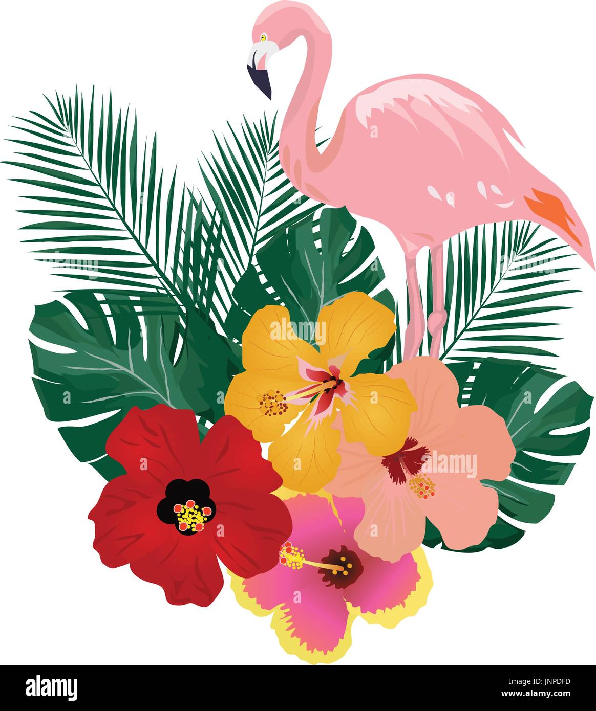 vector illustration of flamingo and tropical flowers background Stock ...
