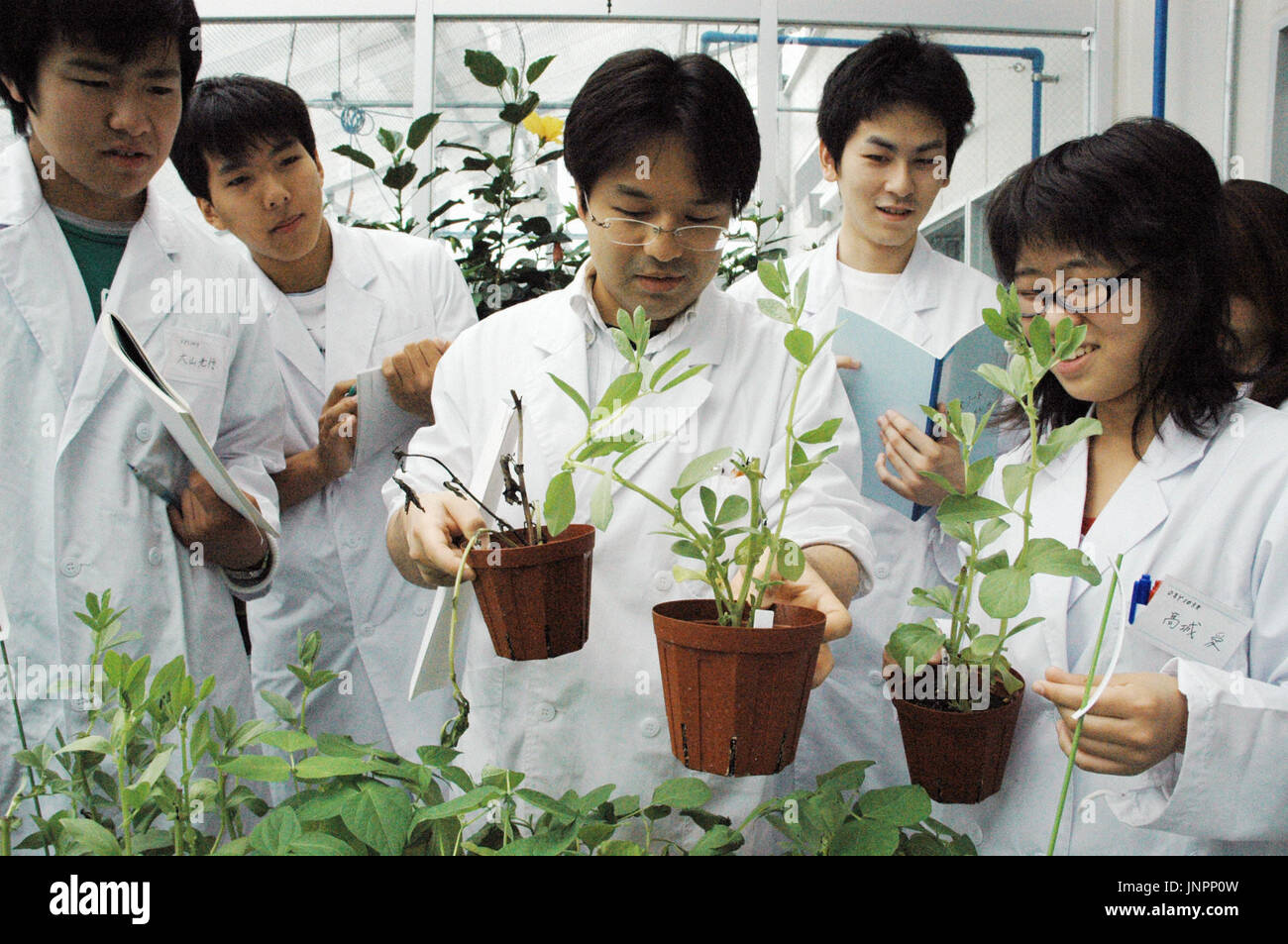 TOKYO, Japan - Students compare sick and healthy broad bean plants ...