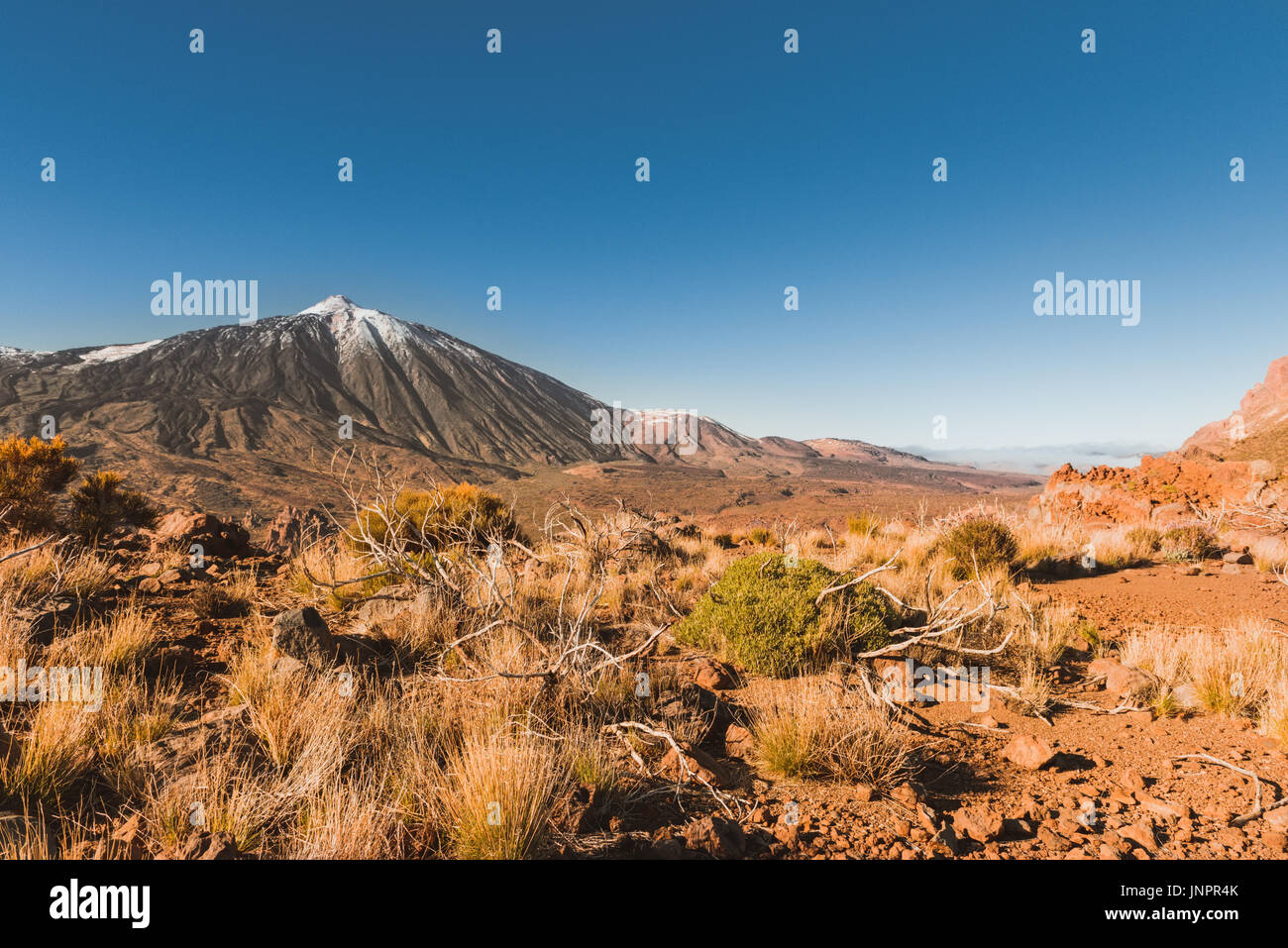 volcano El Teide in Tenerife, Spain Stock Photo - Alamy