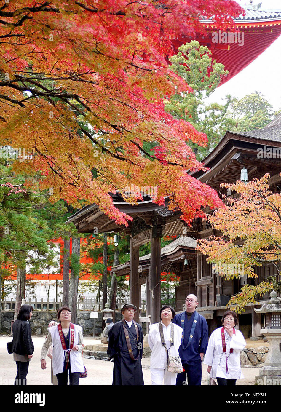 WAKAYAMA, Japan - People view leaves that have turned red and yellow at ...