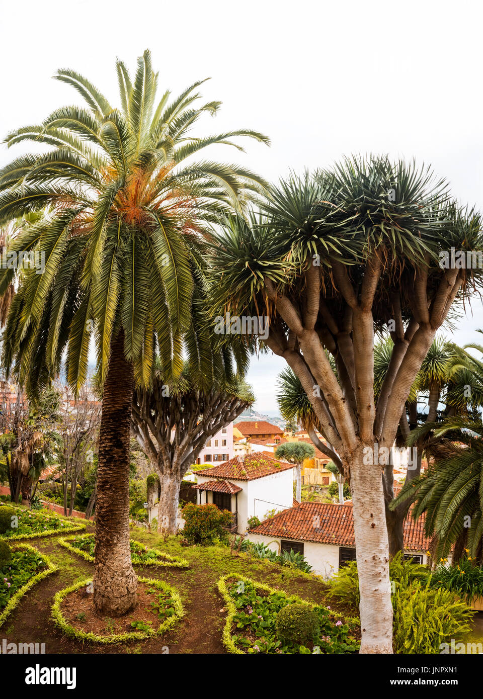 Tenerife architecture hi-res stock photography and images - Alamy