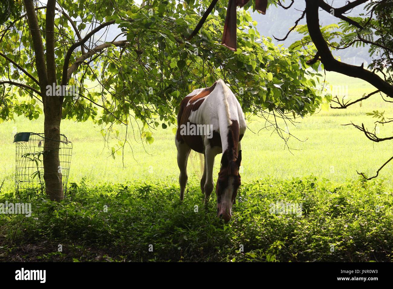 Time Stands Still Stock Photo - Alamy