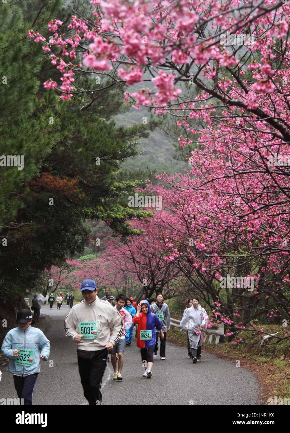 AMAMI, Japan - Amateur marathon runners pass under full-bloom early ...