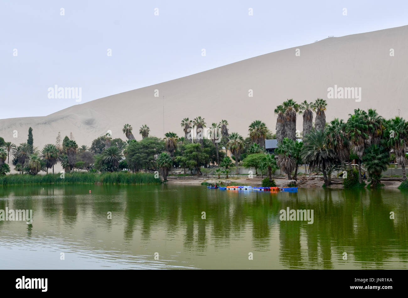 Oasis in Huacachina Stock Photo - Alamy