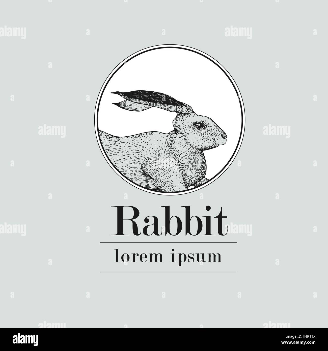 Hand drawn rabbit logo template. Vector vintage illustration Stock ...