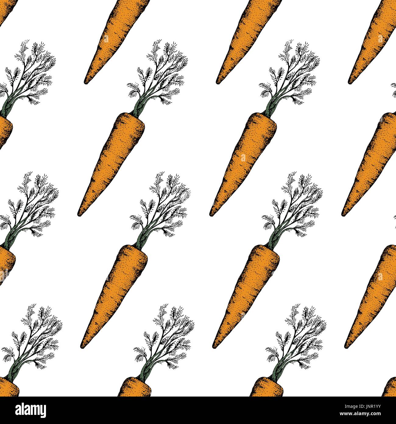 Carrot hand drawn vector seamless pattern. Retro Vegetable engraved ...