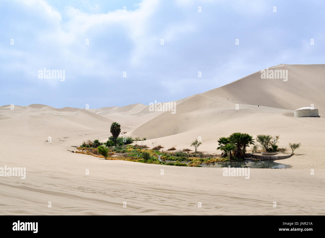 Exploring the desert Stock Photo - Alamy