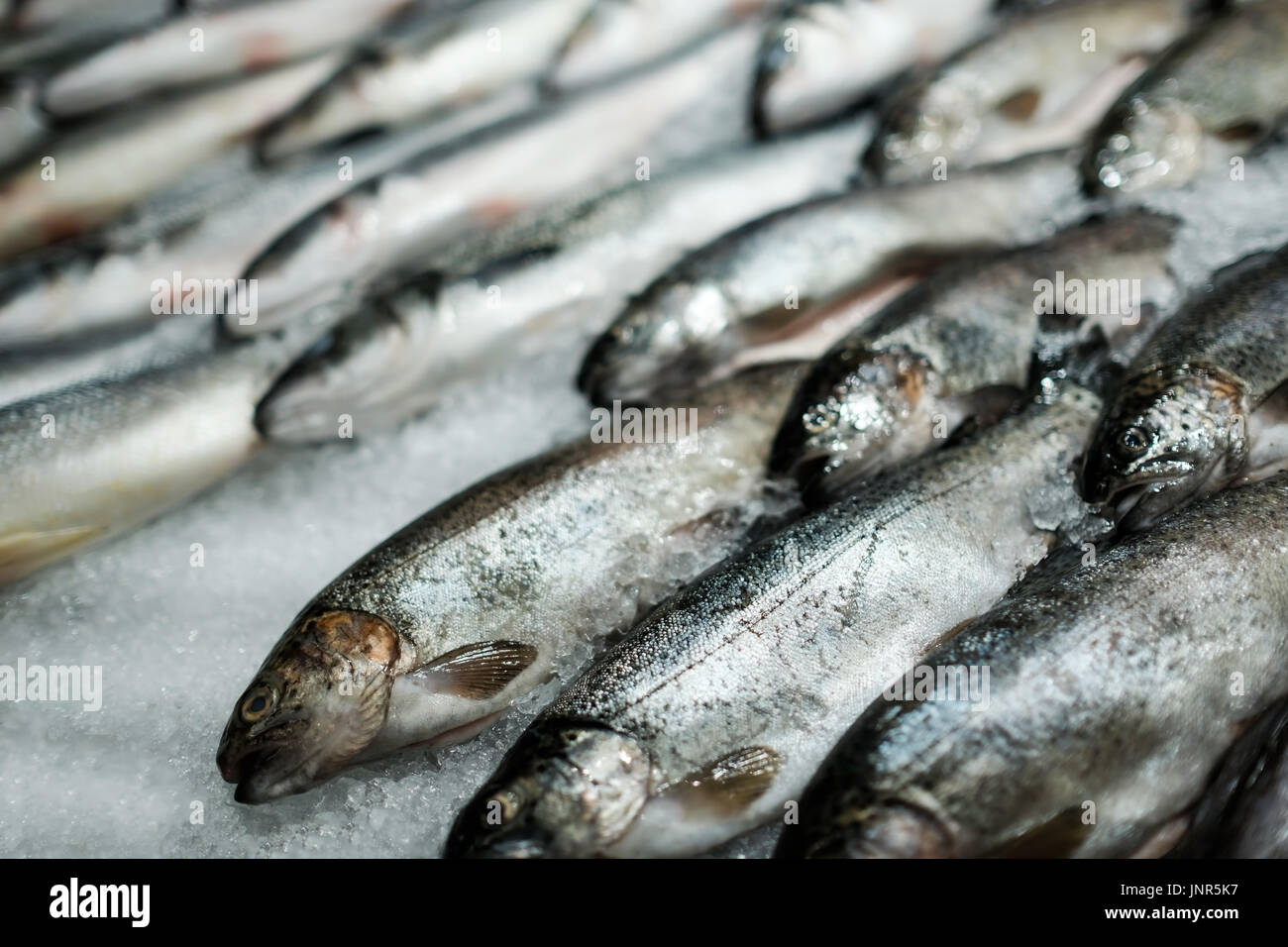 Fresh fish in market Stock Photo - Alamy