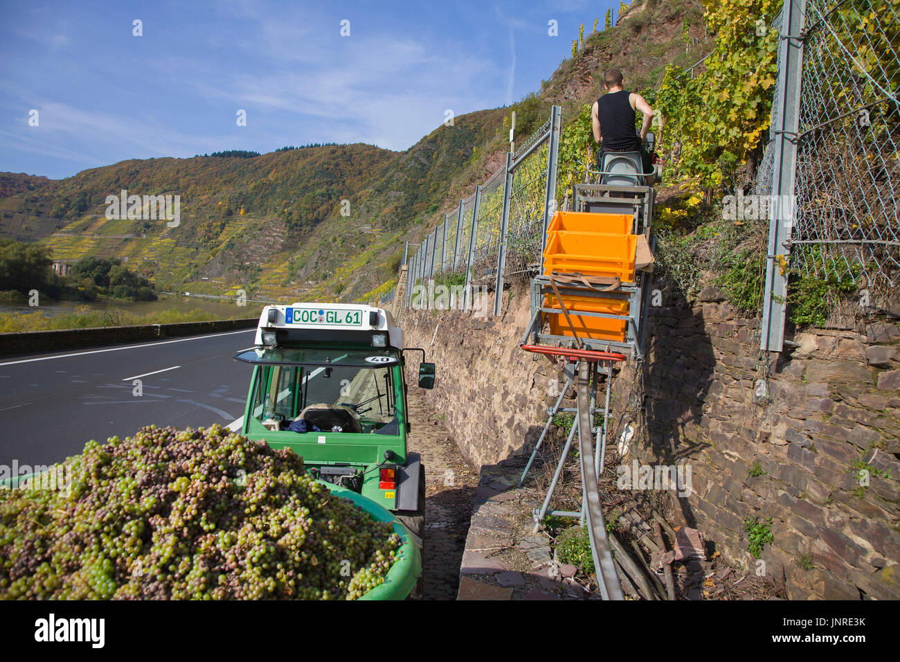 Steep vine slope hi-res stock photography and images - Alamy
