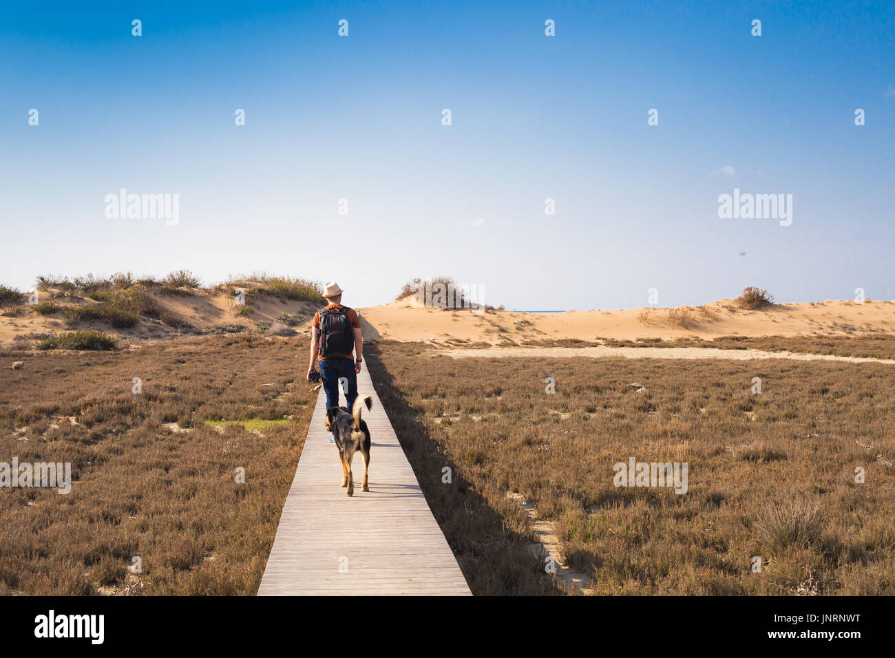 View from behind of a man walking with his dog on a road leading ...