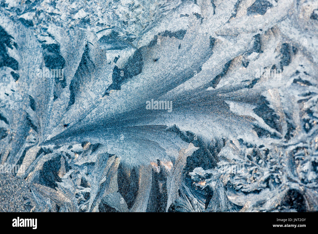 Frost frozen ice hi-res stock photography and images - Alamy