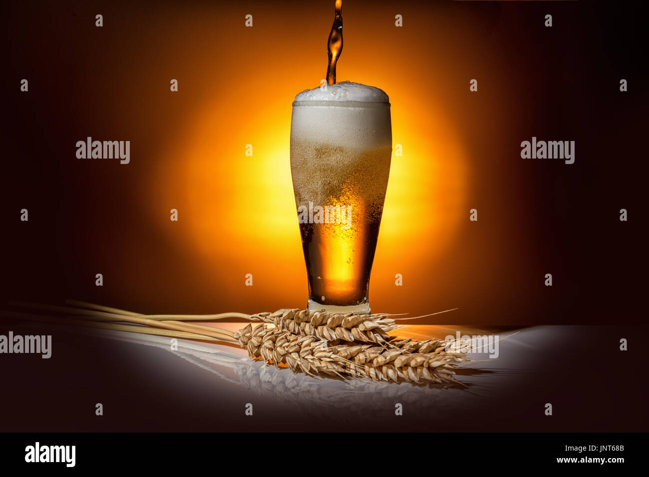dark glass beer pouring with ears of wheat on light background ...