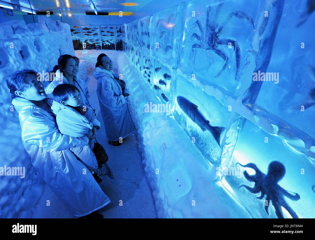 KESENNUMA, Japan - Tourists look at frozen sea animals trapped in ice ...