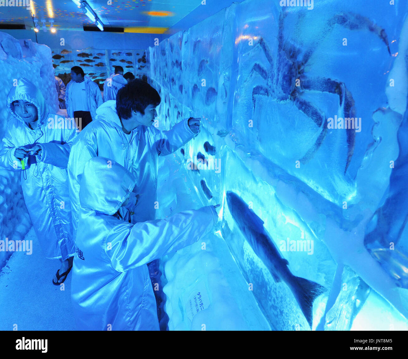 KESENNUMA, Japan - Tourists look at frozen sea animals trapped in ice ...