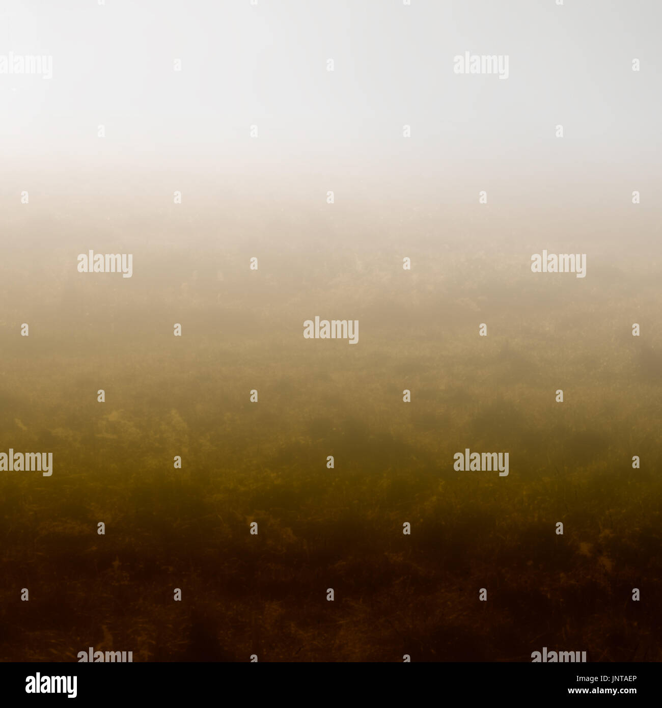 Foggy background blurry surface of the earth Stock Photo - Alamy