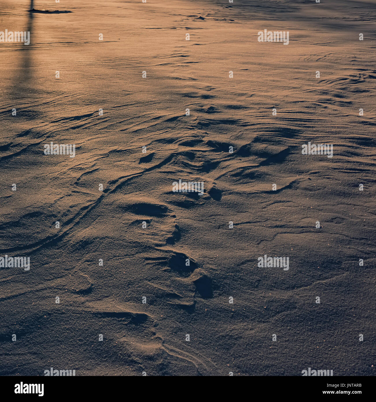 Snow surface with the setting sun Stock Photo - Alamy