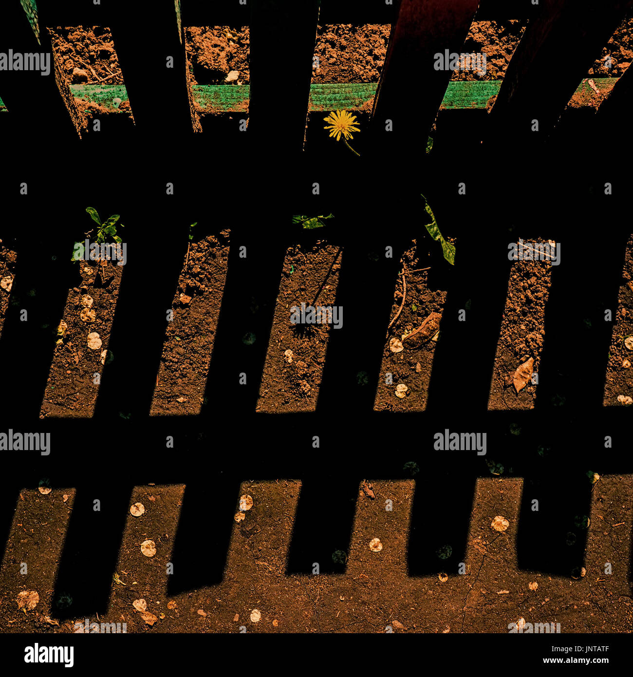 Wooden fence and contrasting shadow on the ground Stock Photo - Alamy