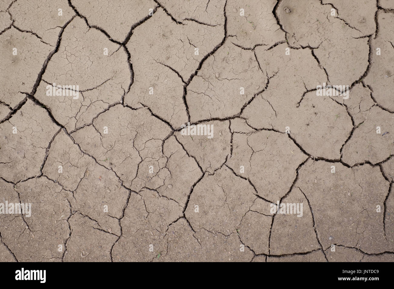 Barren wasteland hi-res stock photography and images - Alamy