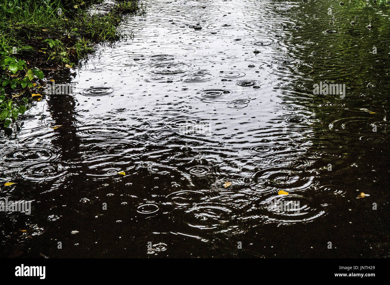 Hard rain hi-res stock photography and images - Alamy