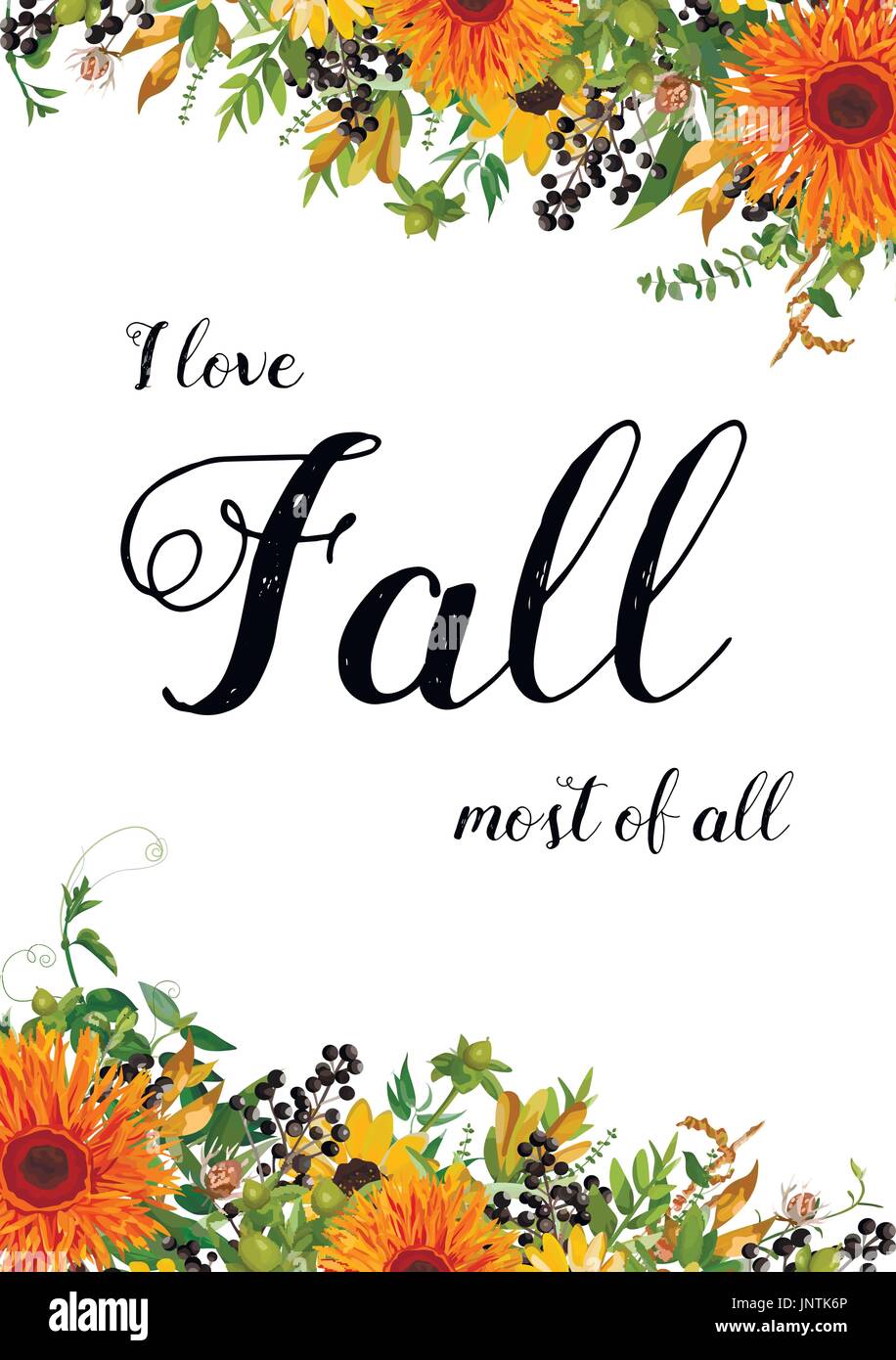 Fall assortment Stock Vector Images - Alamy