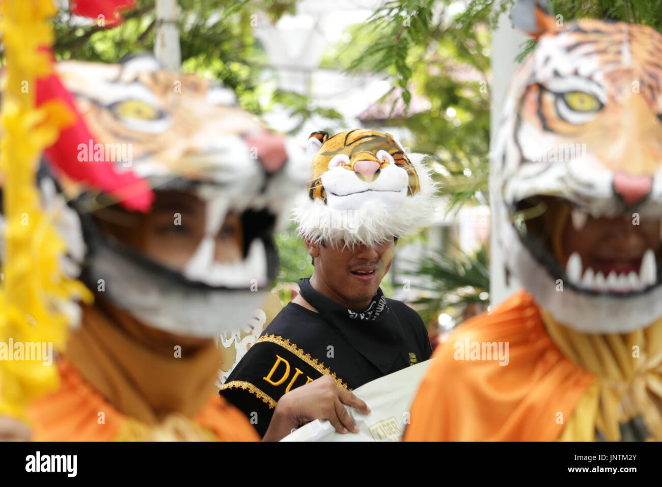 Javan tiger extinct hi-res stock photography and images - Alamy