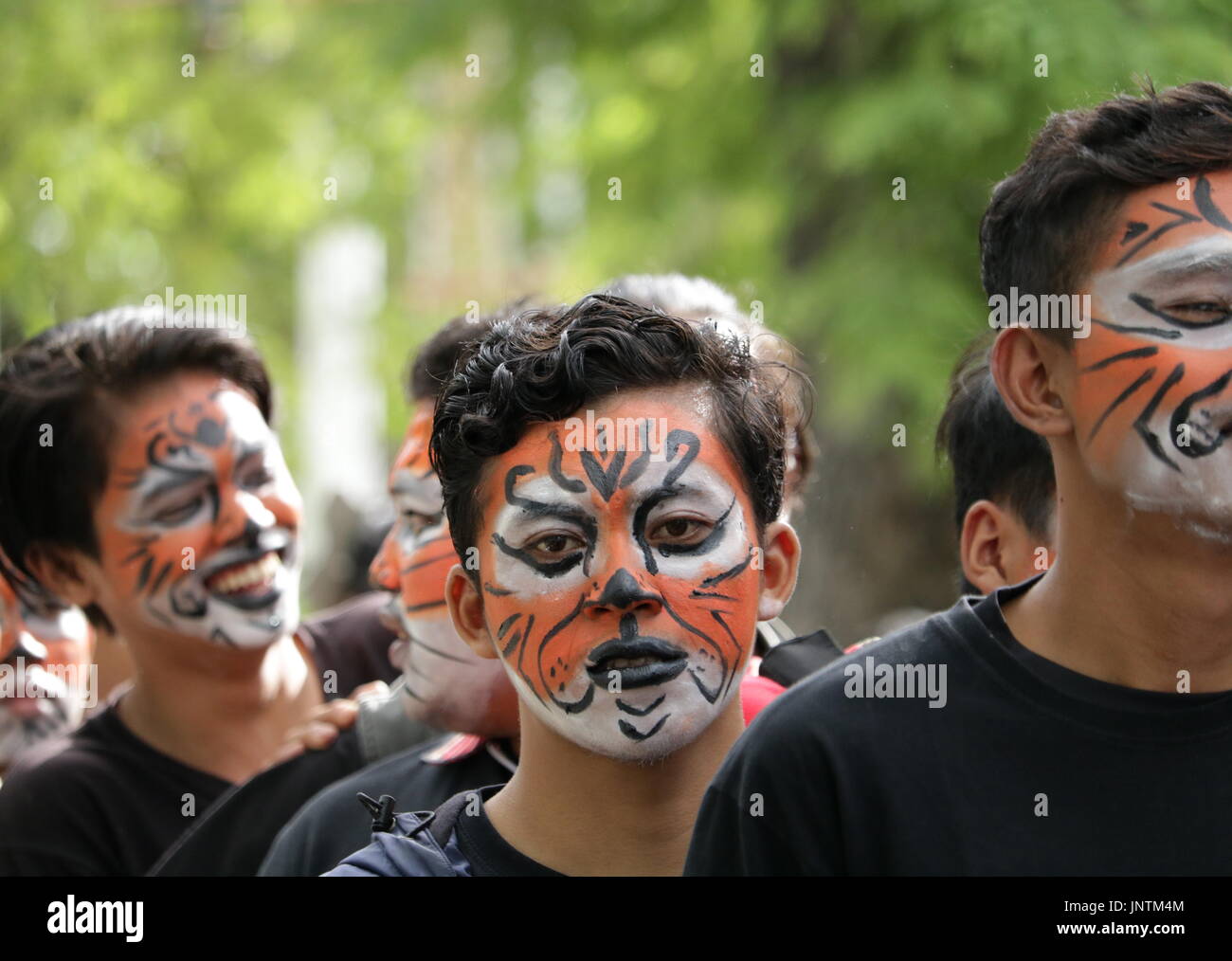 Javan tiger extinct hi-res stock photography and images - Alamy