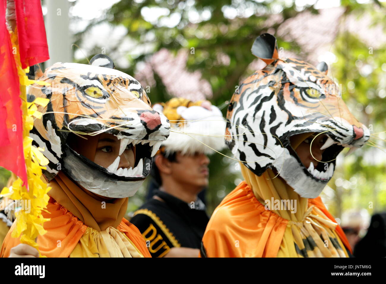 Javan tiger hi-res stock photography and images - Alamy
