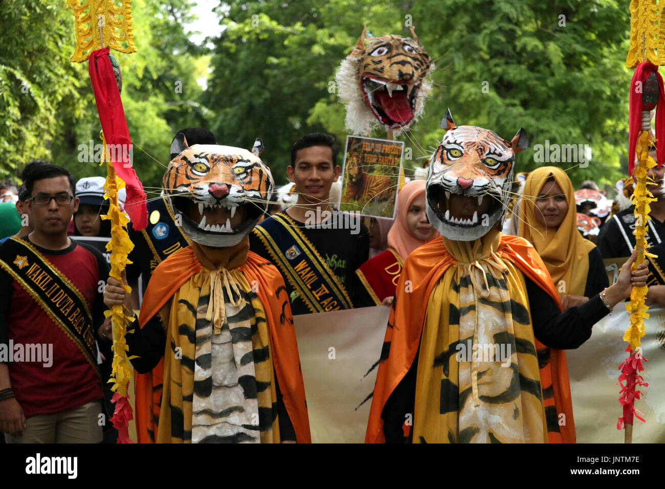 Javan tiger extinct hi-res stock photography and images - Alamy