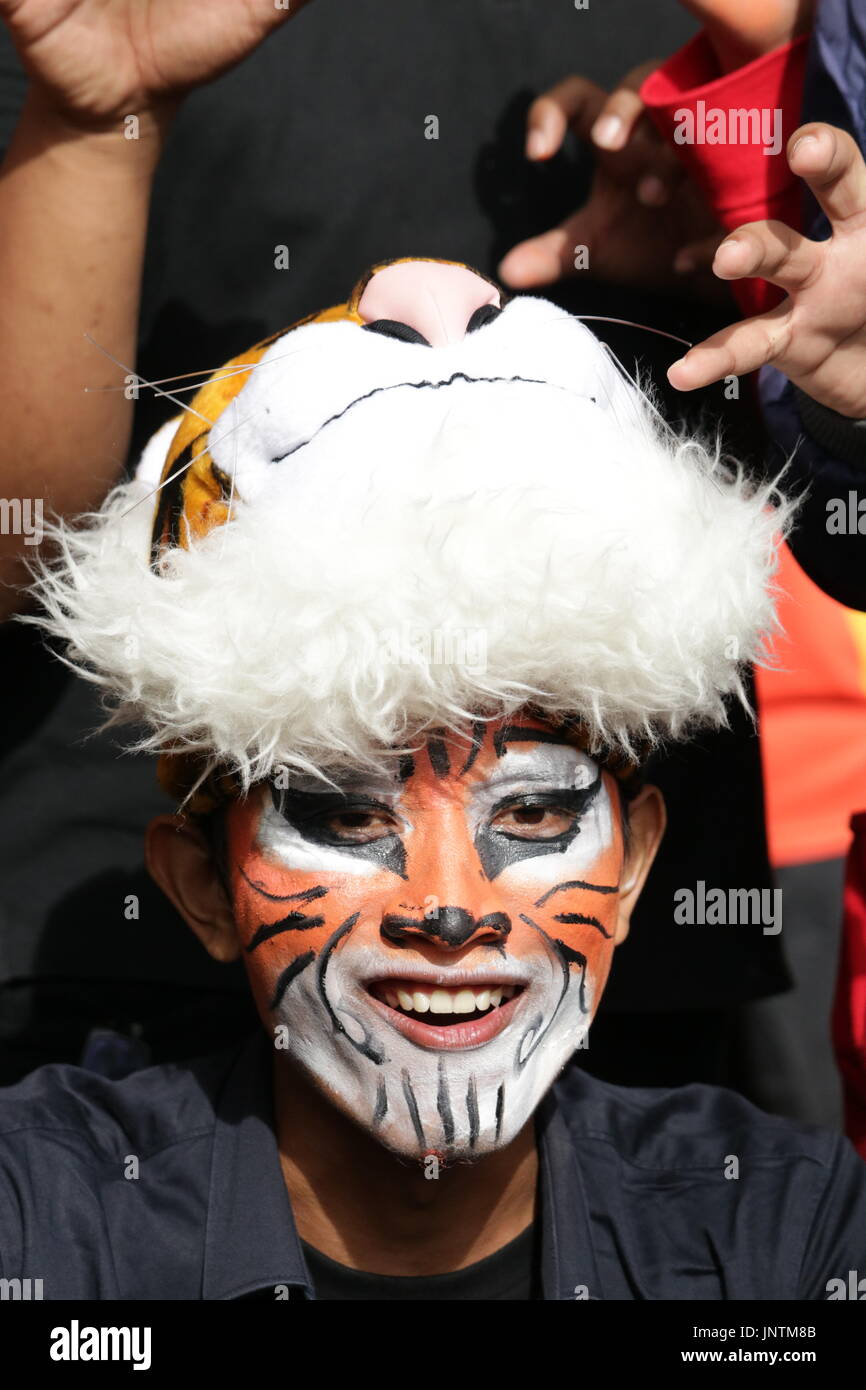 Javan tiger hi-res stock photography and images - Alamy