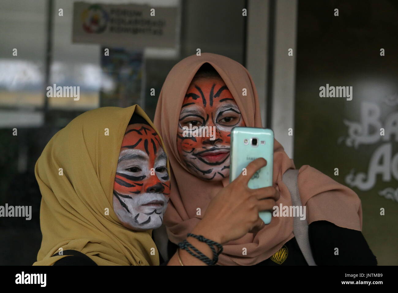 Javan tiger extinct hi-res stock photography and images - Alamy