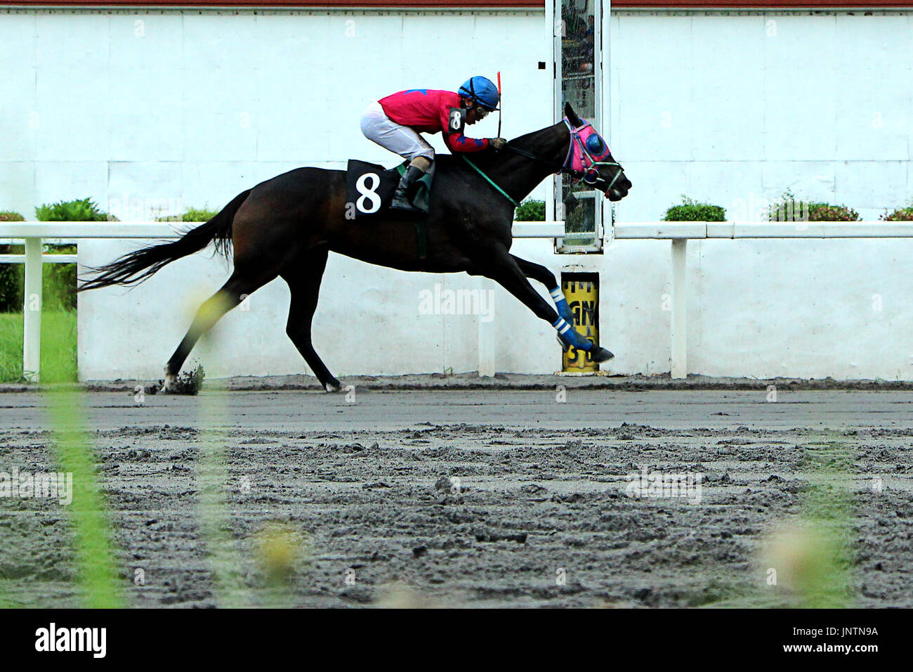 Philippines. 30th July, 2017. Jockey A. P. Asuncion with his horse name ...