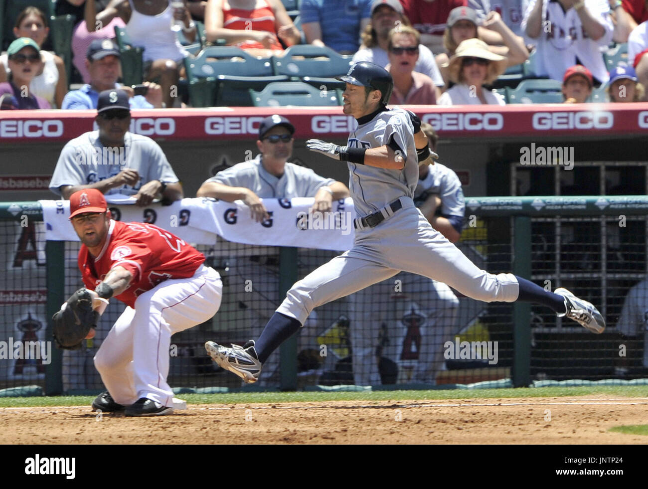 ANAHEIM, United States - Seattle Mariners leading hitter Ichiro Suzuki ...