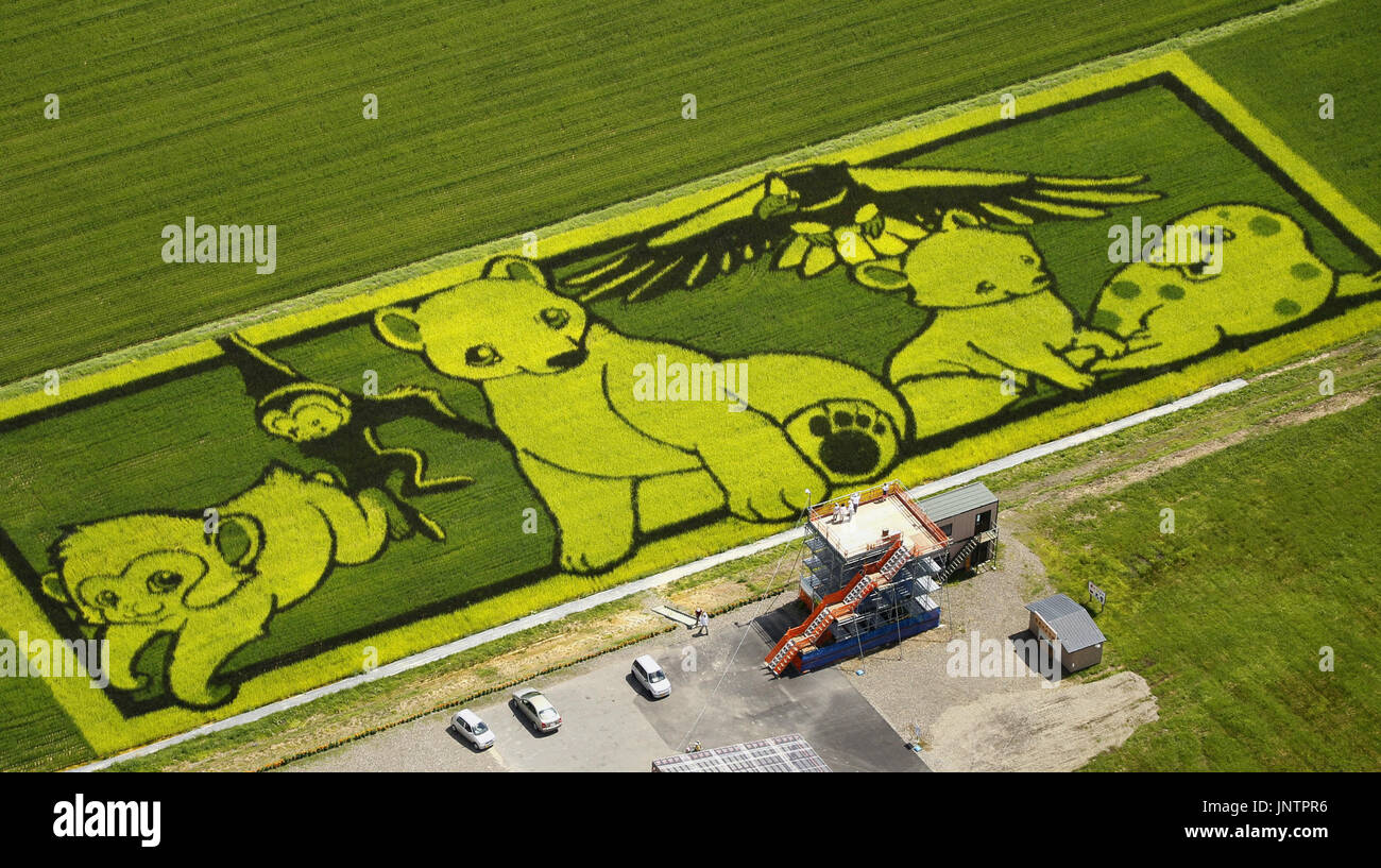 SAPPORO, Japan - Rice plants of three different colors are used to ...