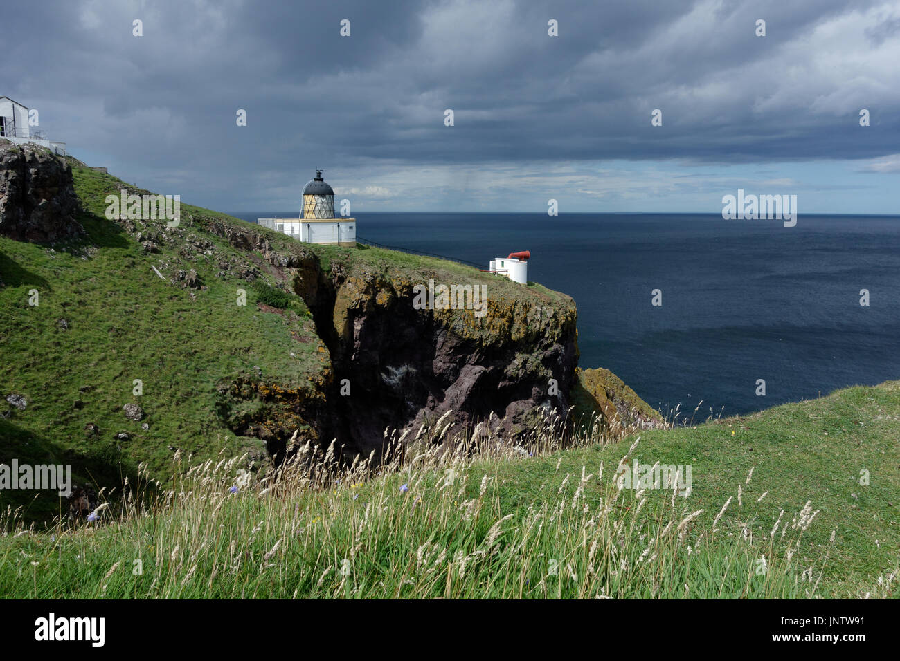St Abbs Lighthouse Berwickshire Scotland High Resolution Stock Photography and Images - Alamy
