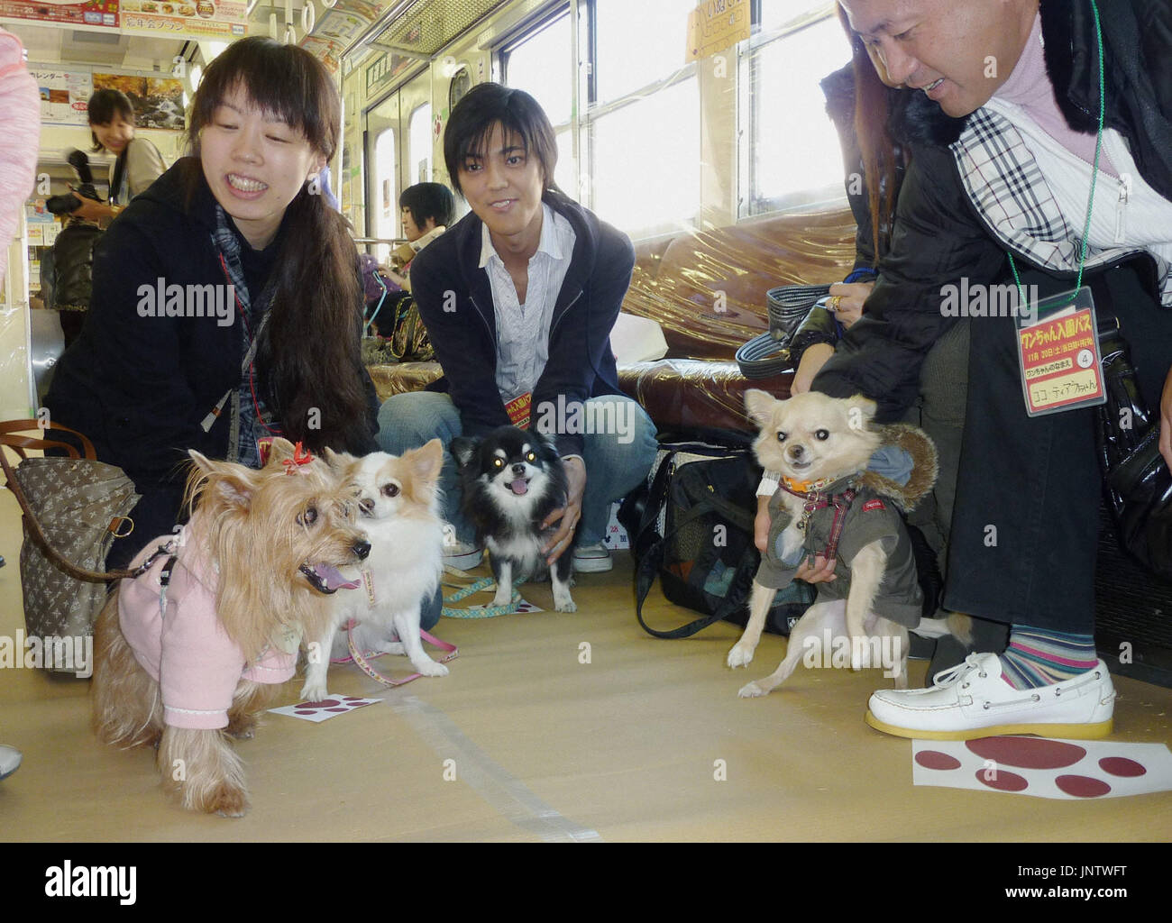 TOKYO, Japan - Dog lovers look after their pets on a chartered train ...