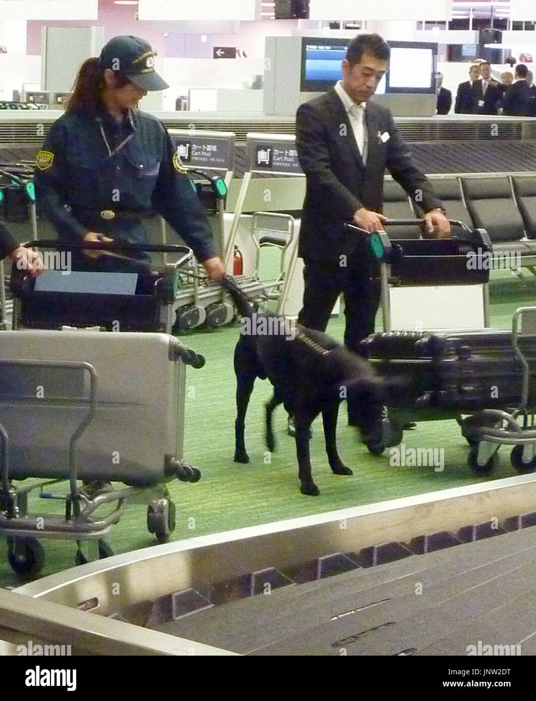 TOKYO, Japan - A sniffer dog demonstrates detecting drugs contained in ...