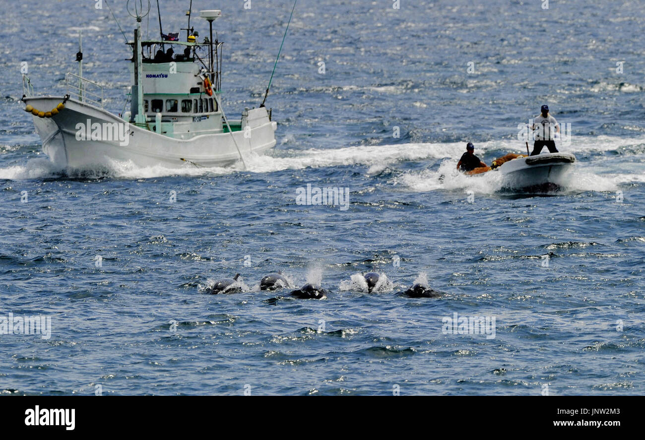 TOKYO, Japan - CORRECTED NAME OF BAY Whaling boats turn bottlenose ...
