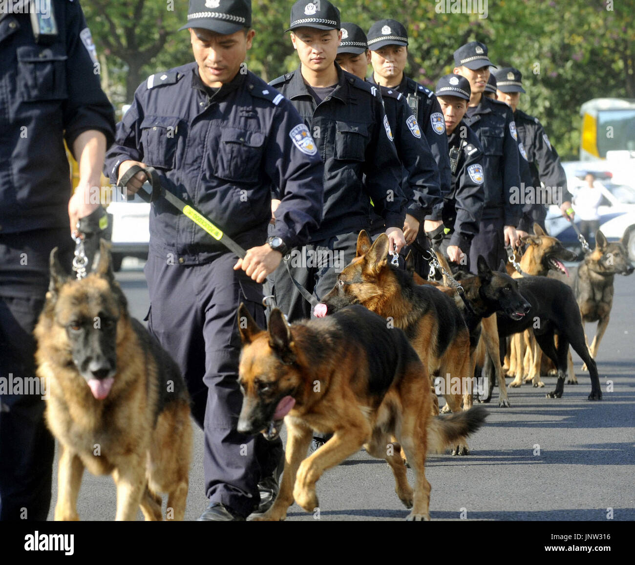 GUANGZHOU, China - Police dogs keep watch near Tianhe Stadium in ...