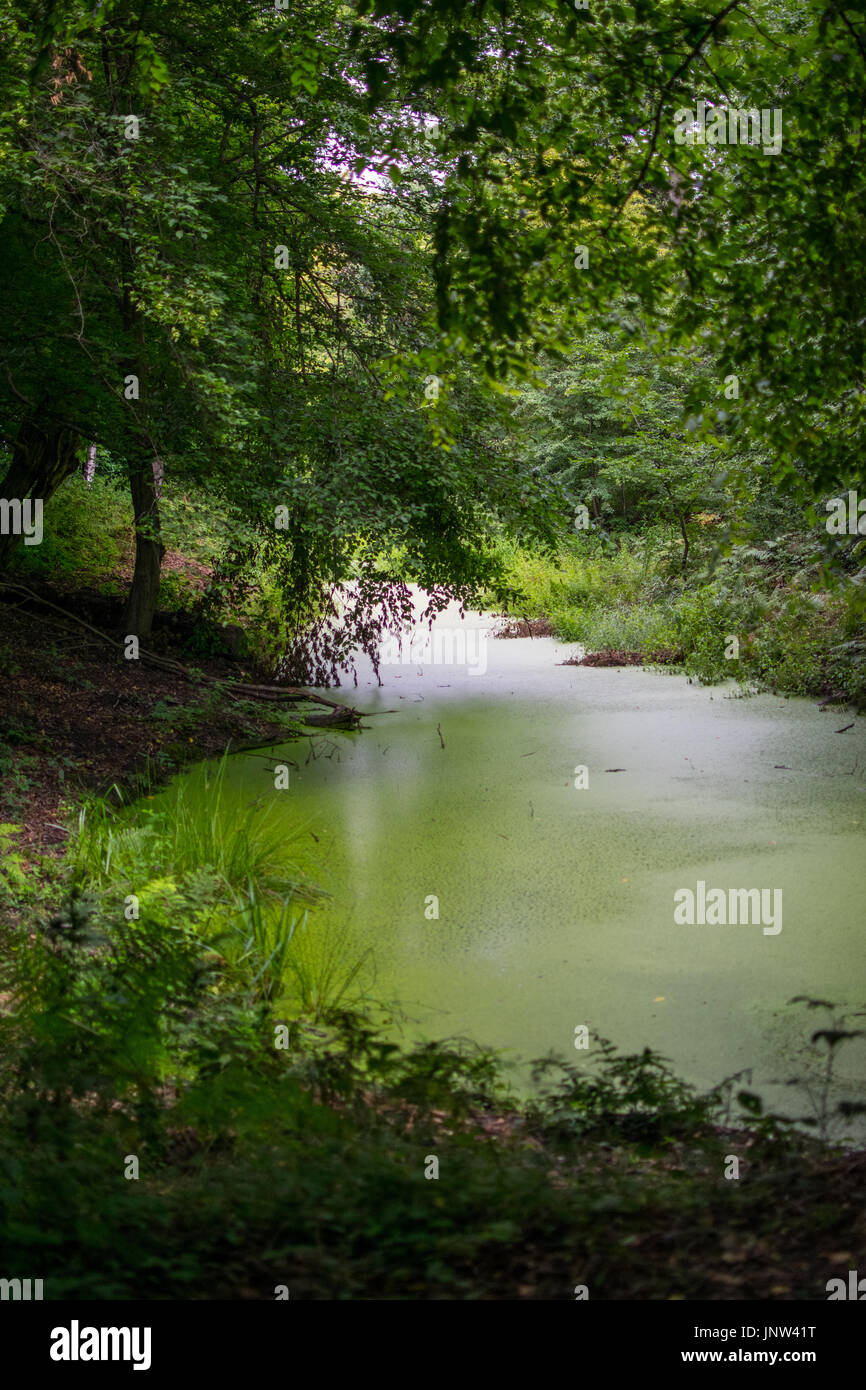 Camlet Moat - Trent Park, North London Stock Photo - Alamy