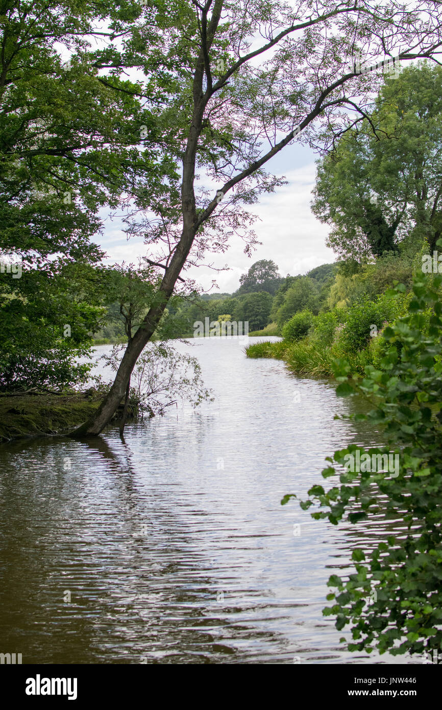 Trent park hi-res stock photography and images - Alamy