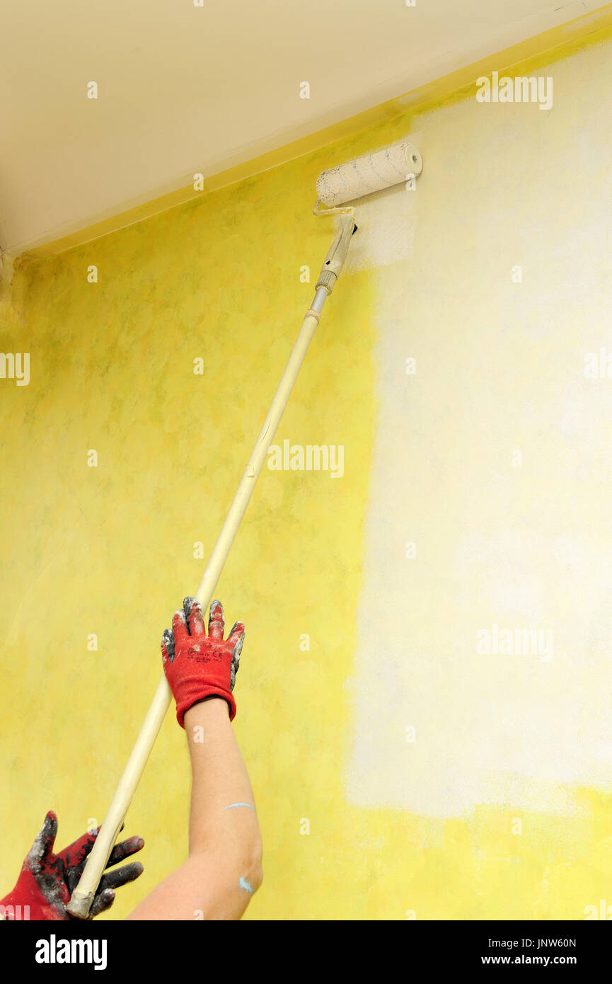paint, wall, surface, work, hands, worker, colors, apartment, interior ...