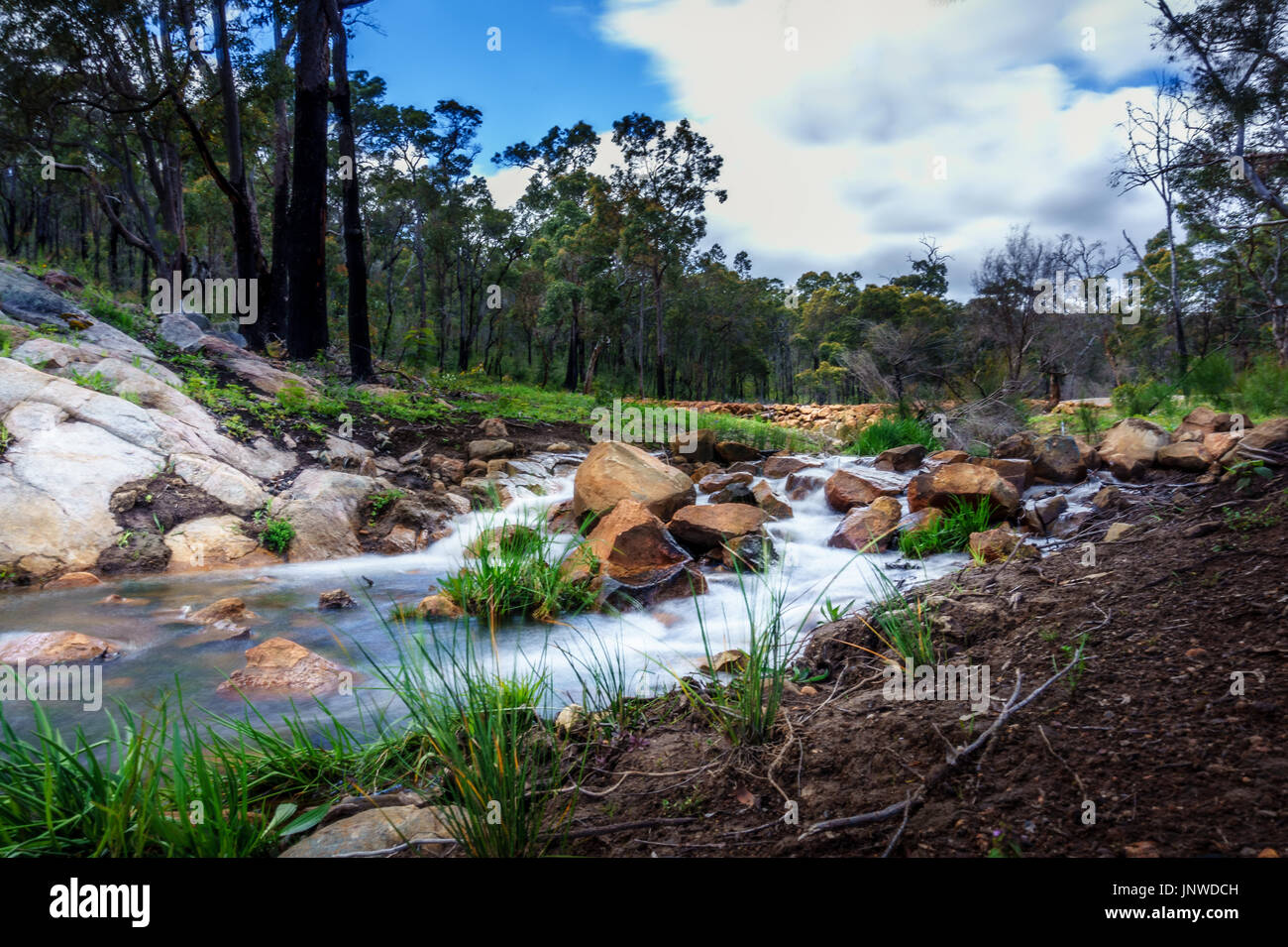 River in a Nationalpark Stock Photo - Alamy